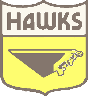 bee dee-style scoop! Hawks' new logo! | BigFooty Forum